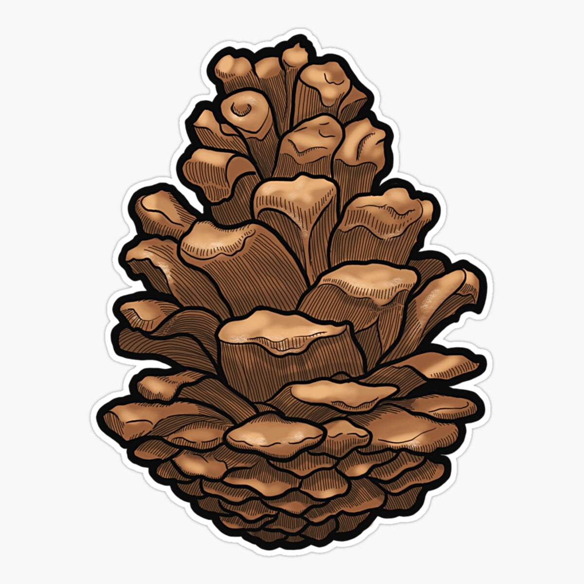 Onim Pine Cone Illustration Sticker, Phone Decal Water Bottle Stickers ...
