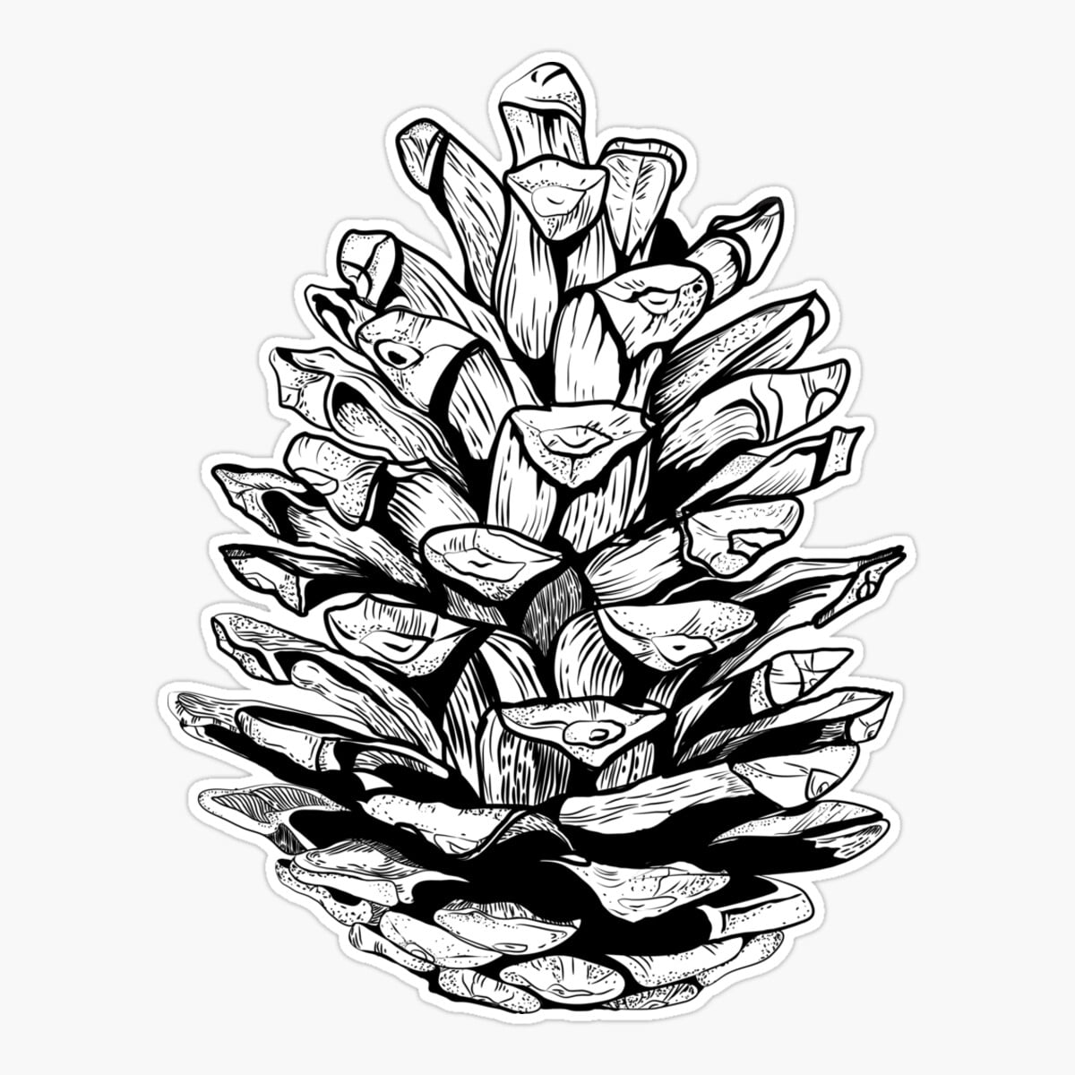 Onim Pine Cone Pattern Sticker, Phone Decal Water Bottle Stickers Car ...