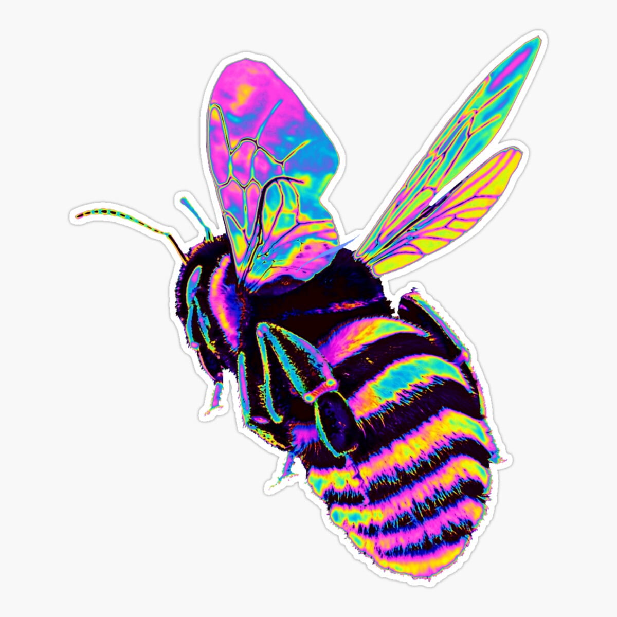 Onim Pink And Blue Holo Bumble Bee Sticker, Phone Decal Water Bottle ...