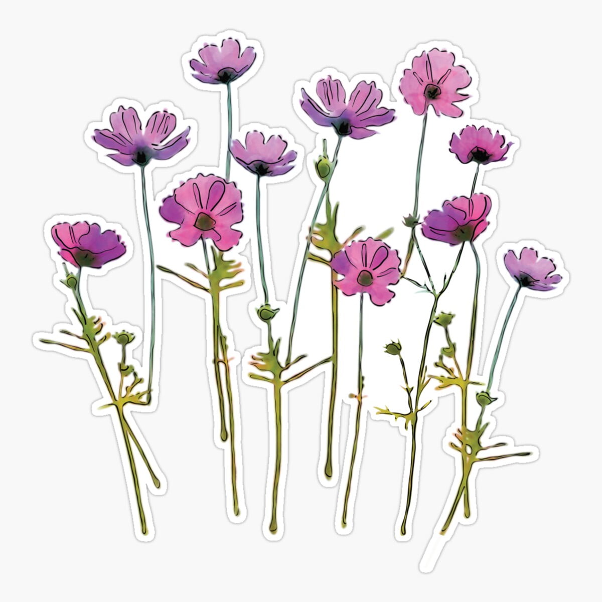 Onim Pink Cosmos Flowers Watercolor Sticker, Phone Decal Water Bottle ...