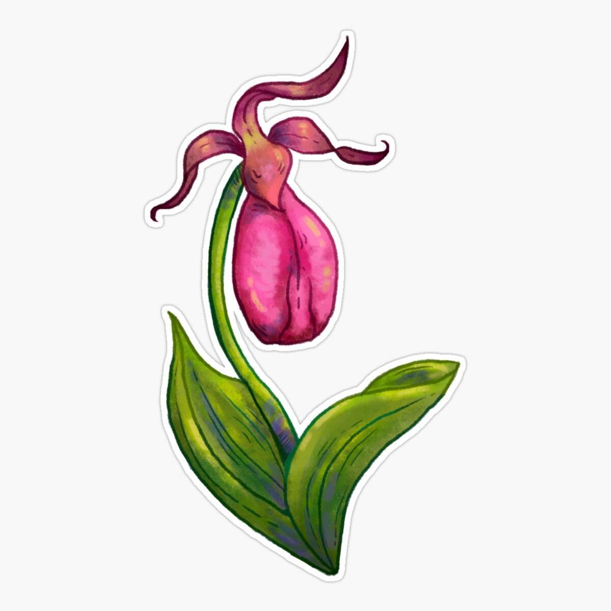 Onim Pink Lady Slipper Flower Sticker, Phone Decal Water Bottle ...