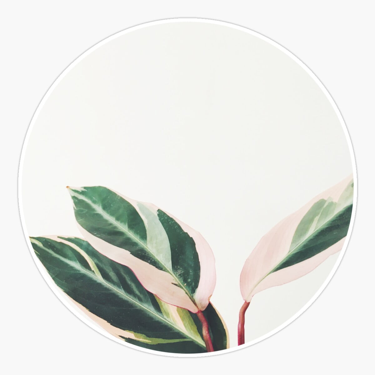 Onim Pink Leaves Iii Sticker, Phone Decal Water Bottle Stickers Car ...