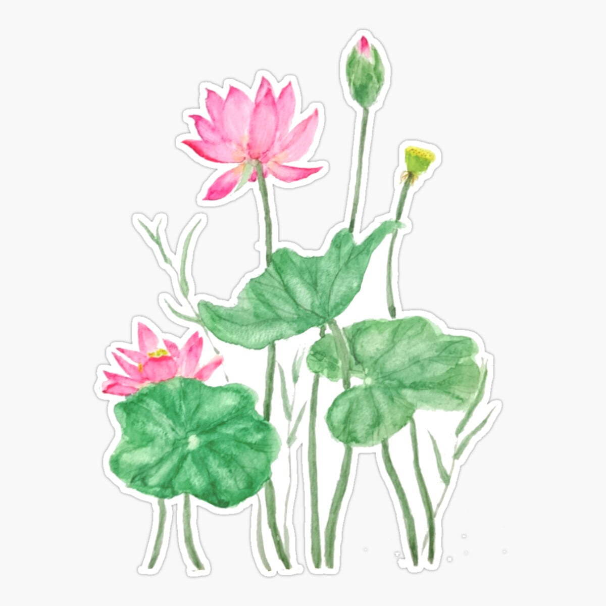 Onim Pink Lotus Flowers Watercolor Sticker, Phone Decal Water Bottle ...
