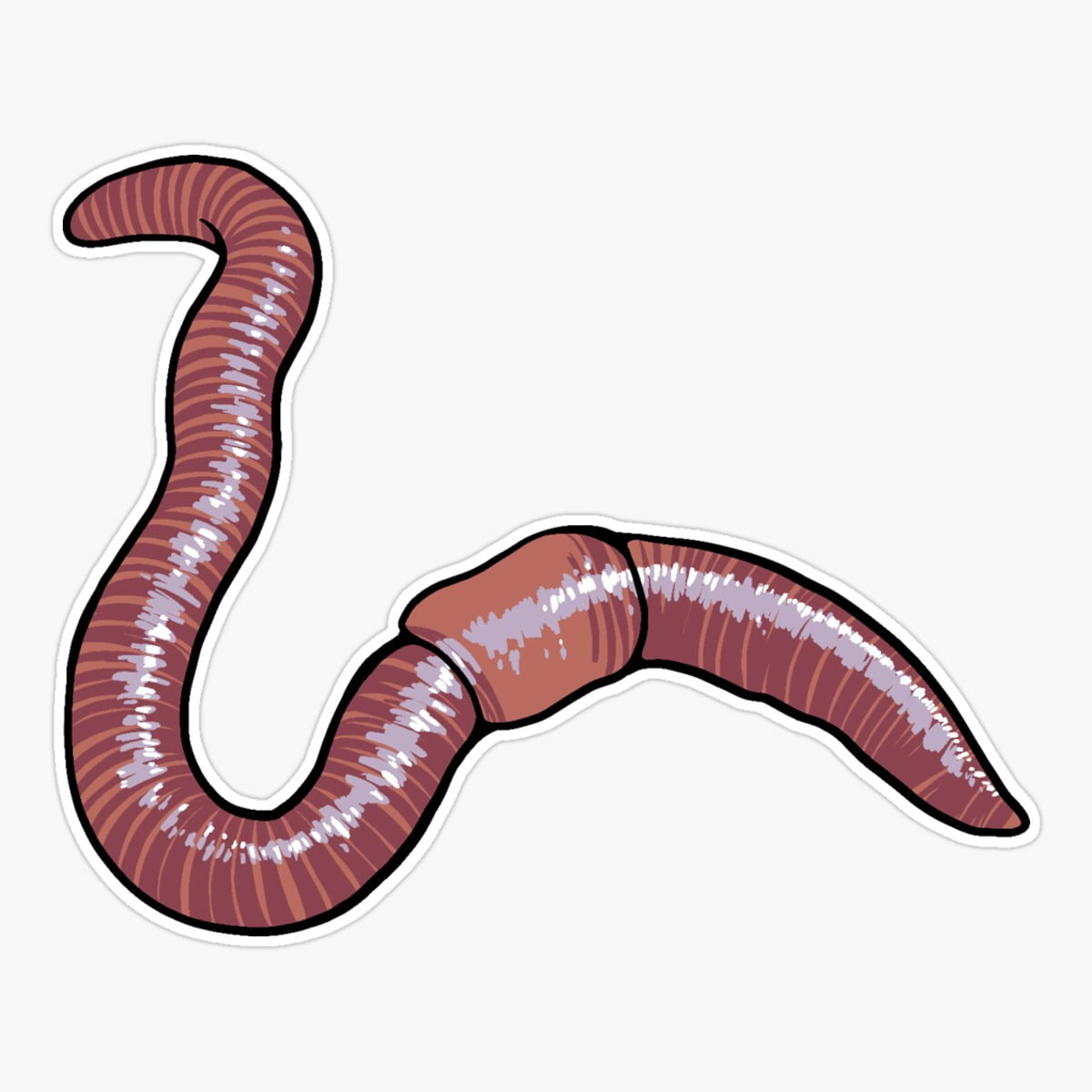 Onim Pink Nightcrawler Earthworm Worm Sticker, Phone Decal Water Bottle ...