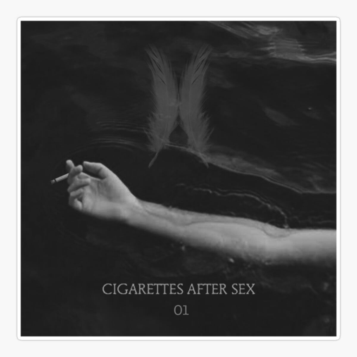 Onim Pink Parasaurolophus Skeleton Sticker, Phone Decal Water Bottle ...