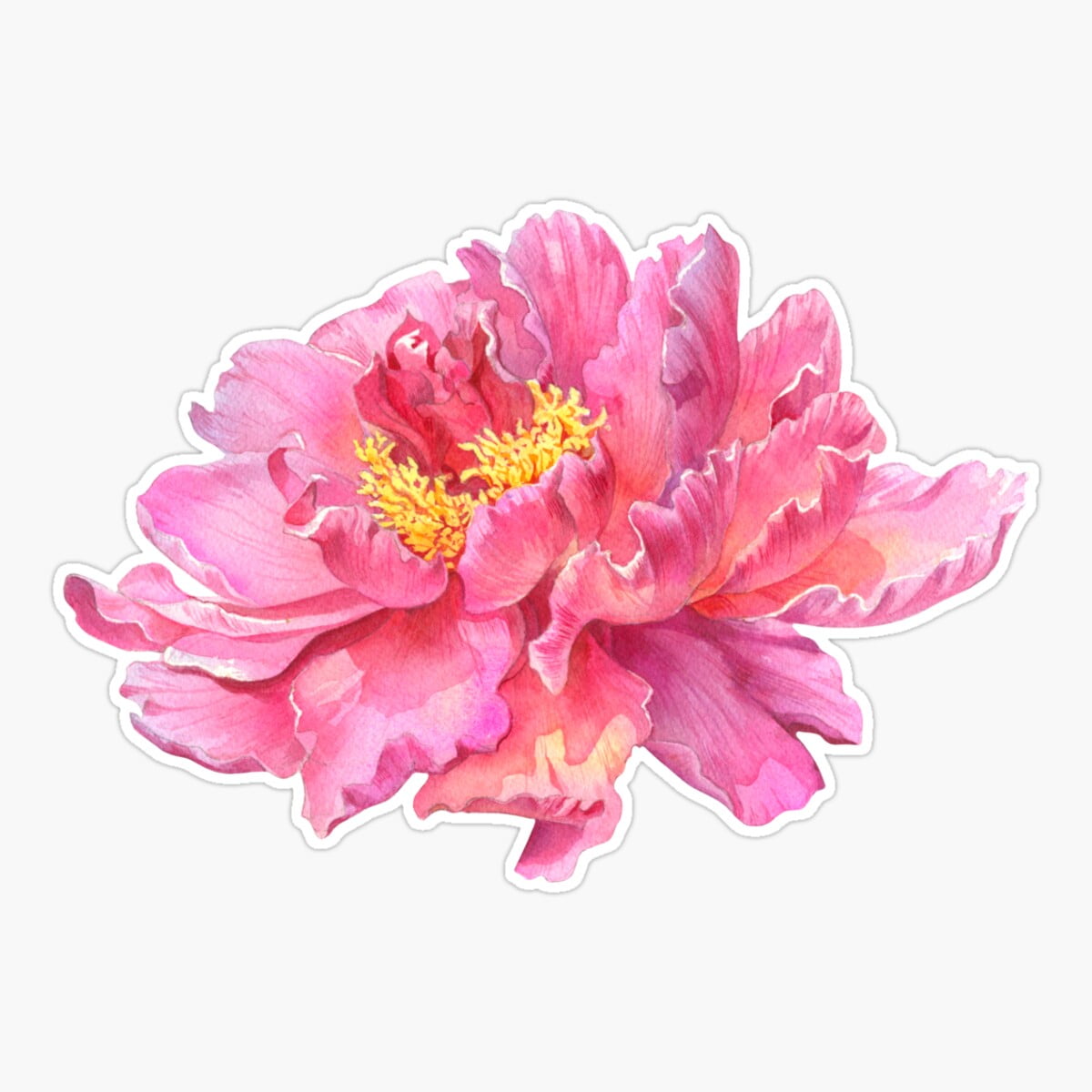 Onim Pink Peony - Spring Flower In Bloom Sticker, Phone Decal Water ...