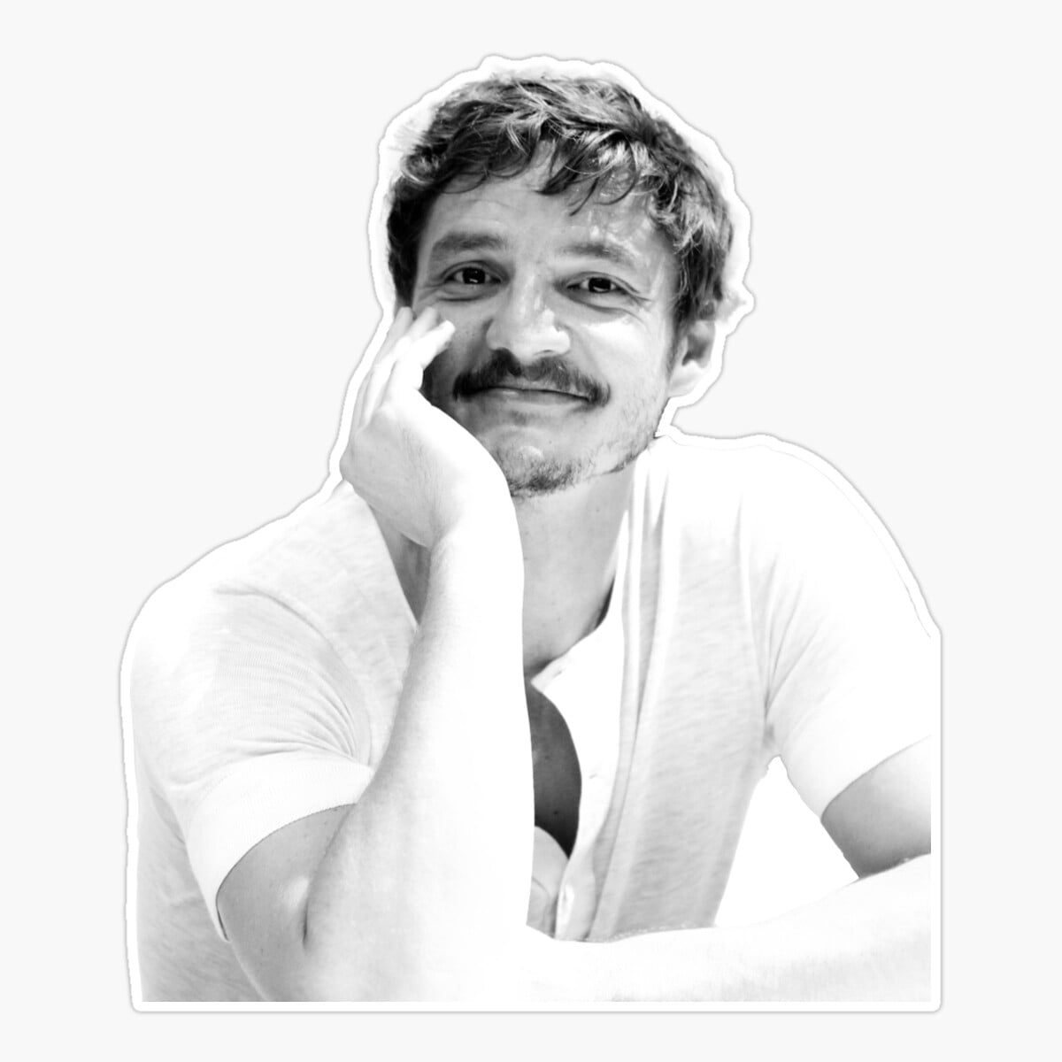 Onim Please Close The Lid Sticker, Phone Decal Water Bottle Stickers Car Decals, Funny Birthday ...