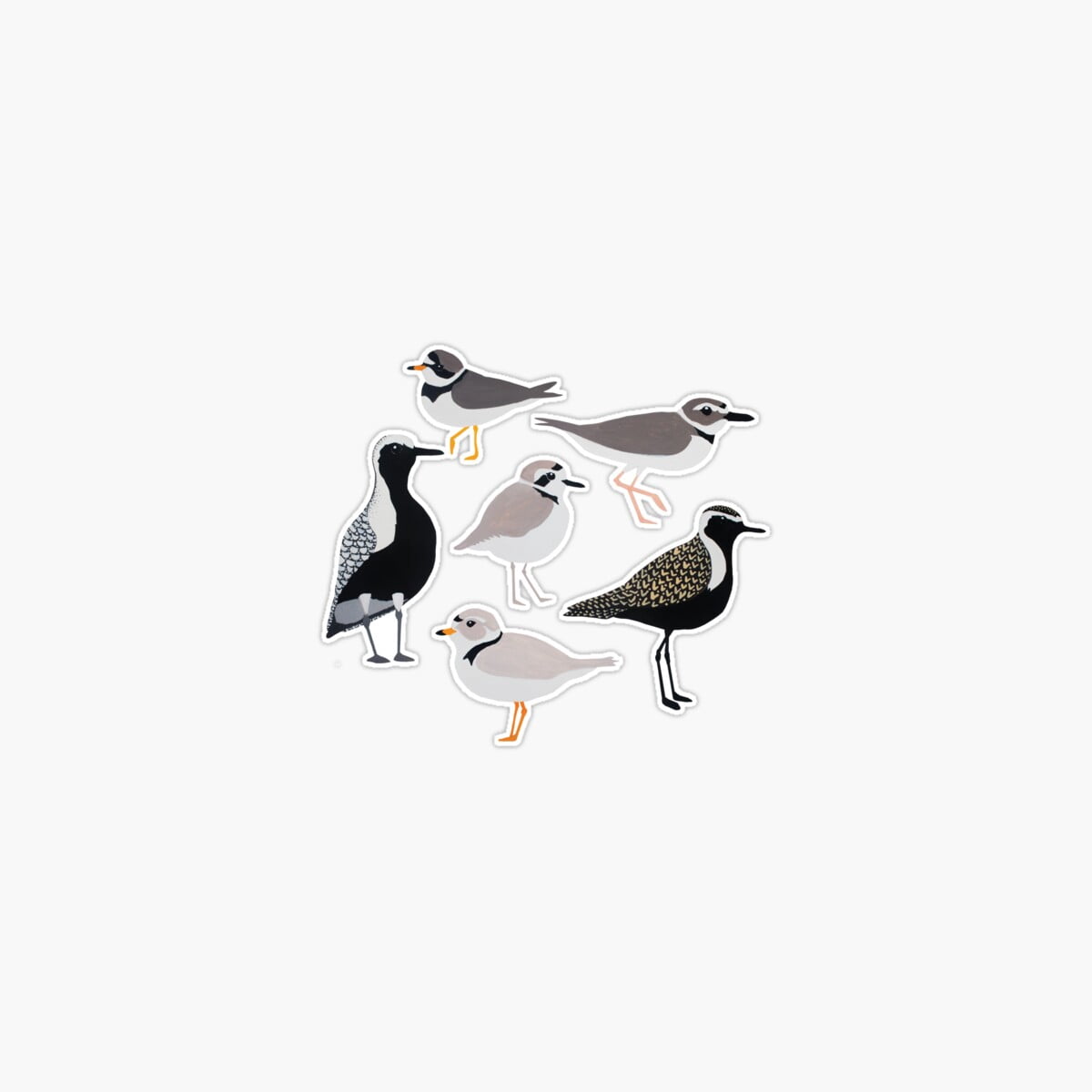Onim Plethora Of Plovers Sticker, Phone Decal Water Bottle Stickers Car ...