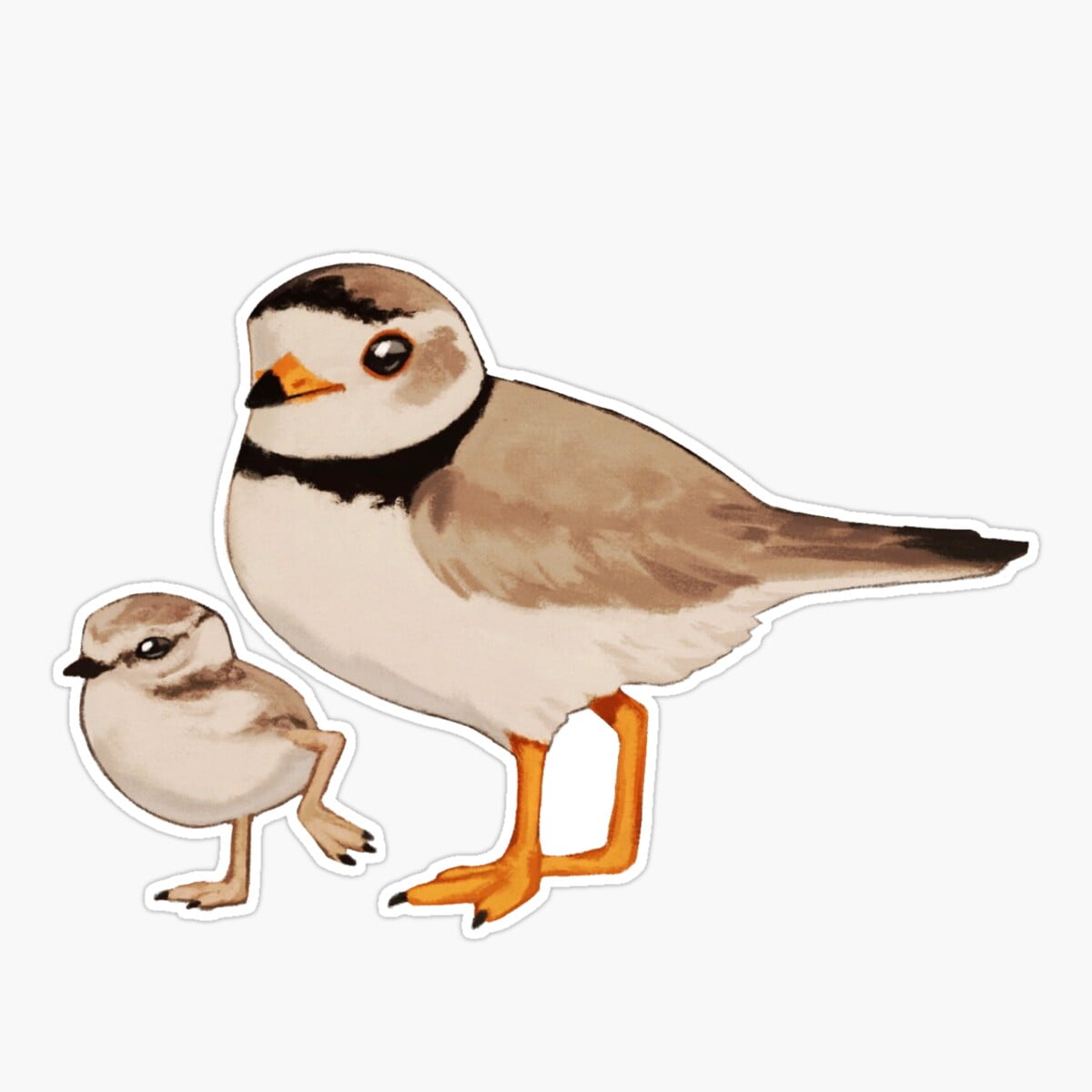 Onim Plover And Baby Sticker, Phone Decal Water Bottle Stickers Car ...