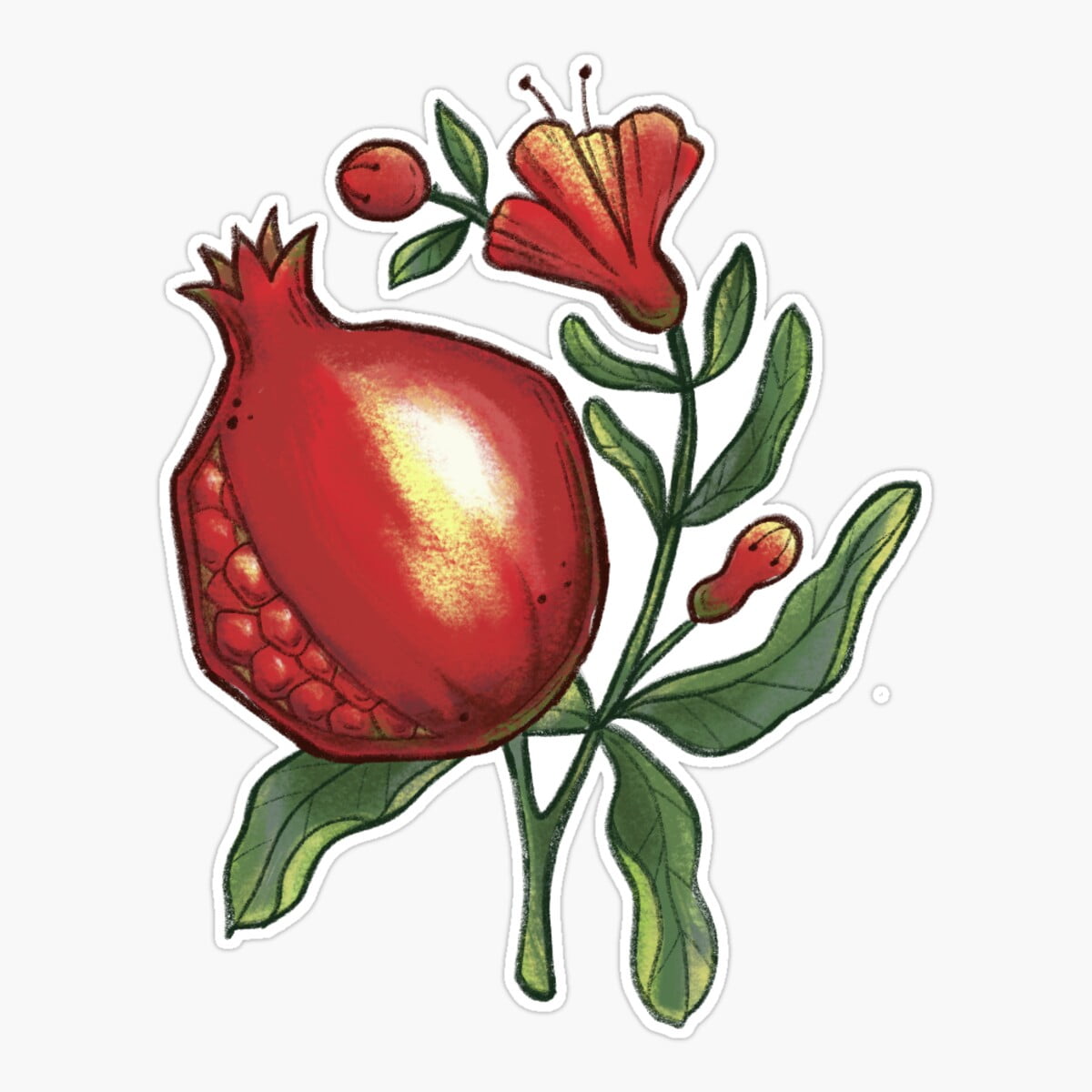 Onim Pomegranate Flower Sticker, Phone Decal Water Bottle Stickers Car ...