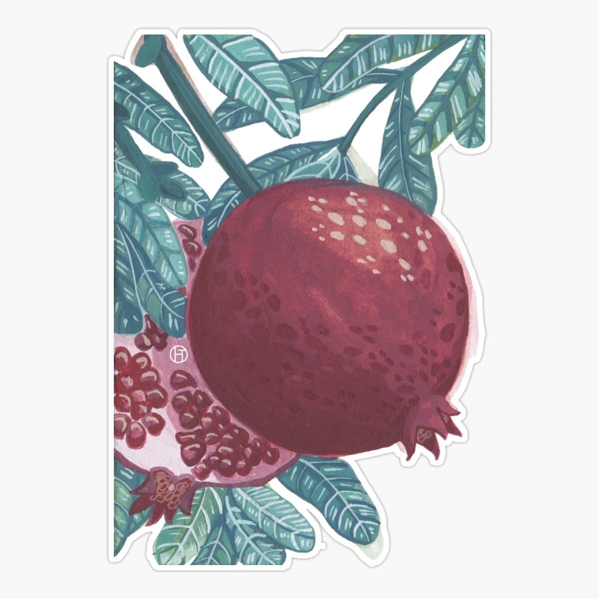 Onim Pomegranates Botanical Illustration Sticker, Phone Decal Water ...