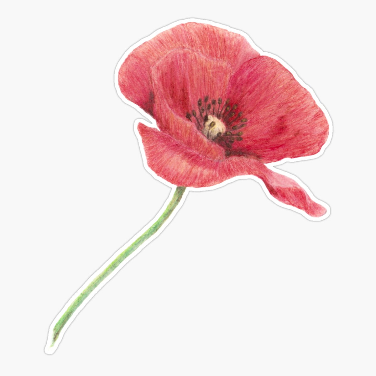 Onim Poppy Flower Sticker, Phone Decal Water Bottle Stickers Car Decals ...