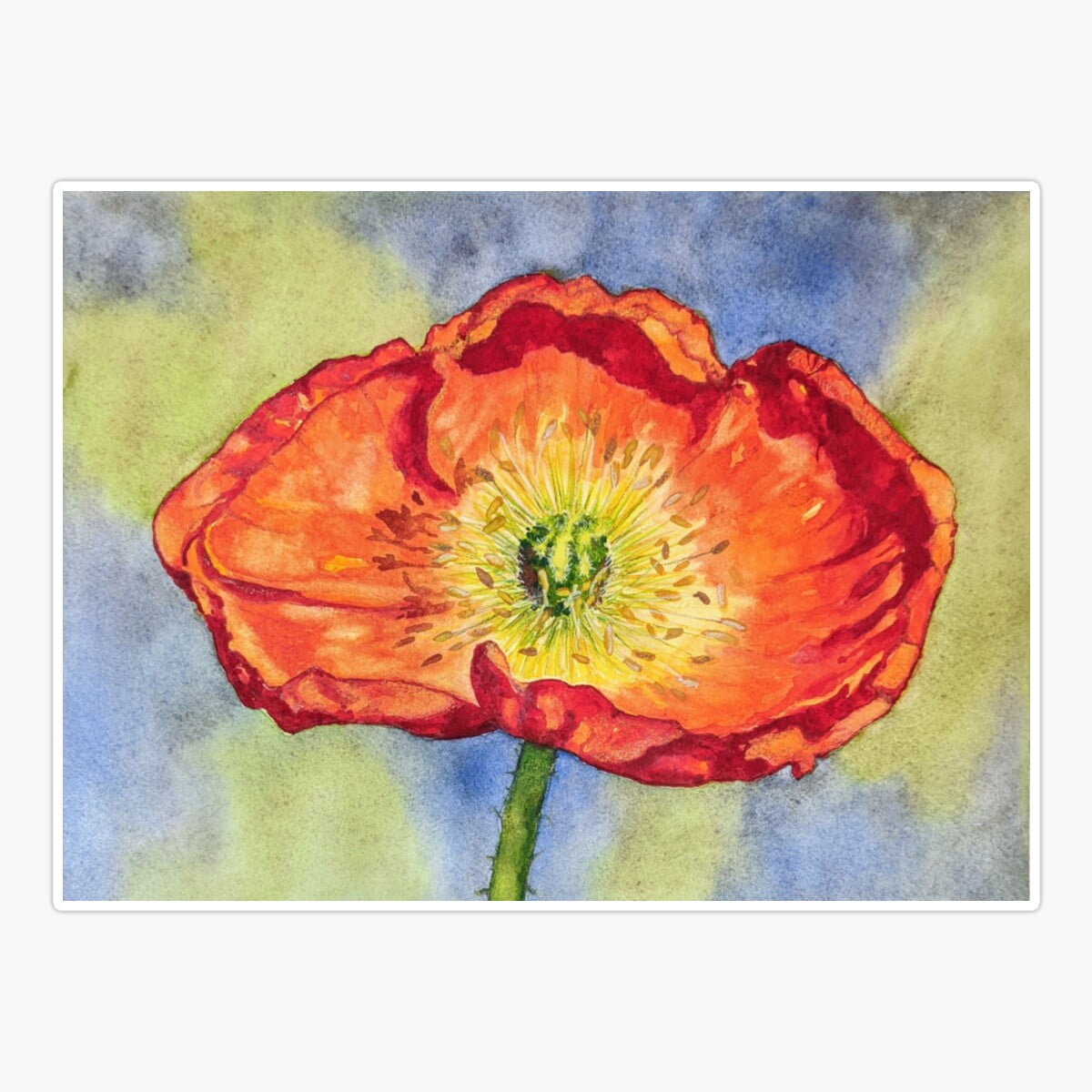 Onim Poppy Wide Open Sticker, Phone Decal Water Bottle Stickers Car ...