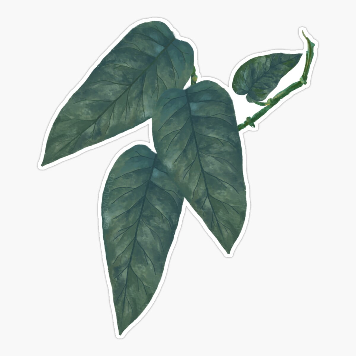 Onim Pothos Cebu Blue Leaf Sticker, Phone Decal Water Bottle Stickers ...