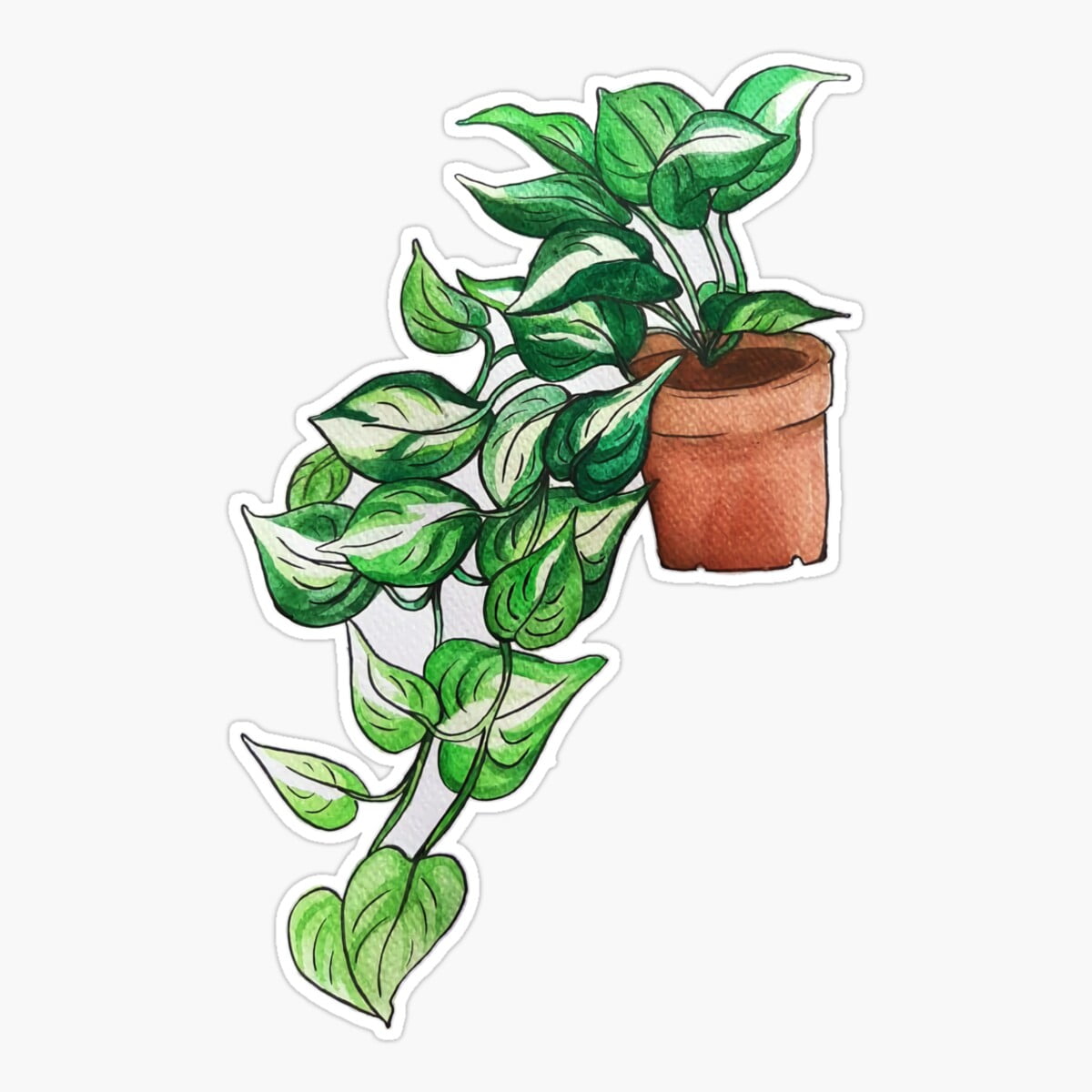 Onim Pothos Watercolor Sticker, Phone Decal Water Bottle Stickers Car ...