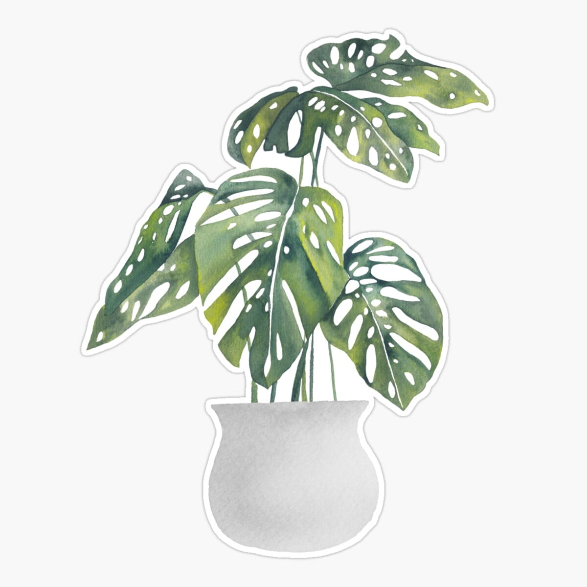 Onim Potted Monstera Plant Sticker, Phone Decal Water Bottle Stickers ...