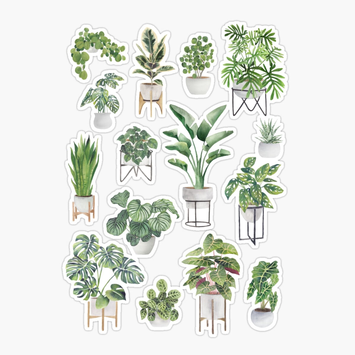 Onim Potted Plants Collection Sticker, Phone Decal Water Bottle ...