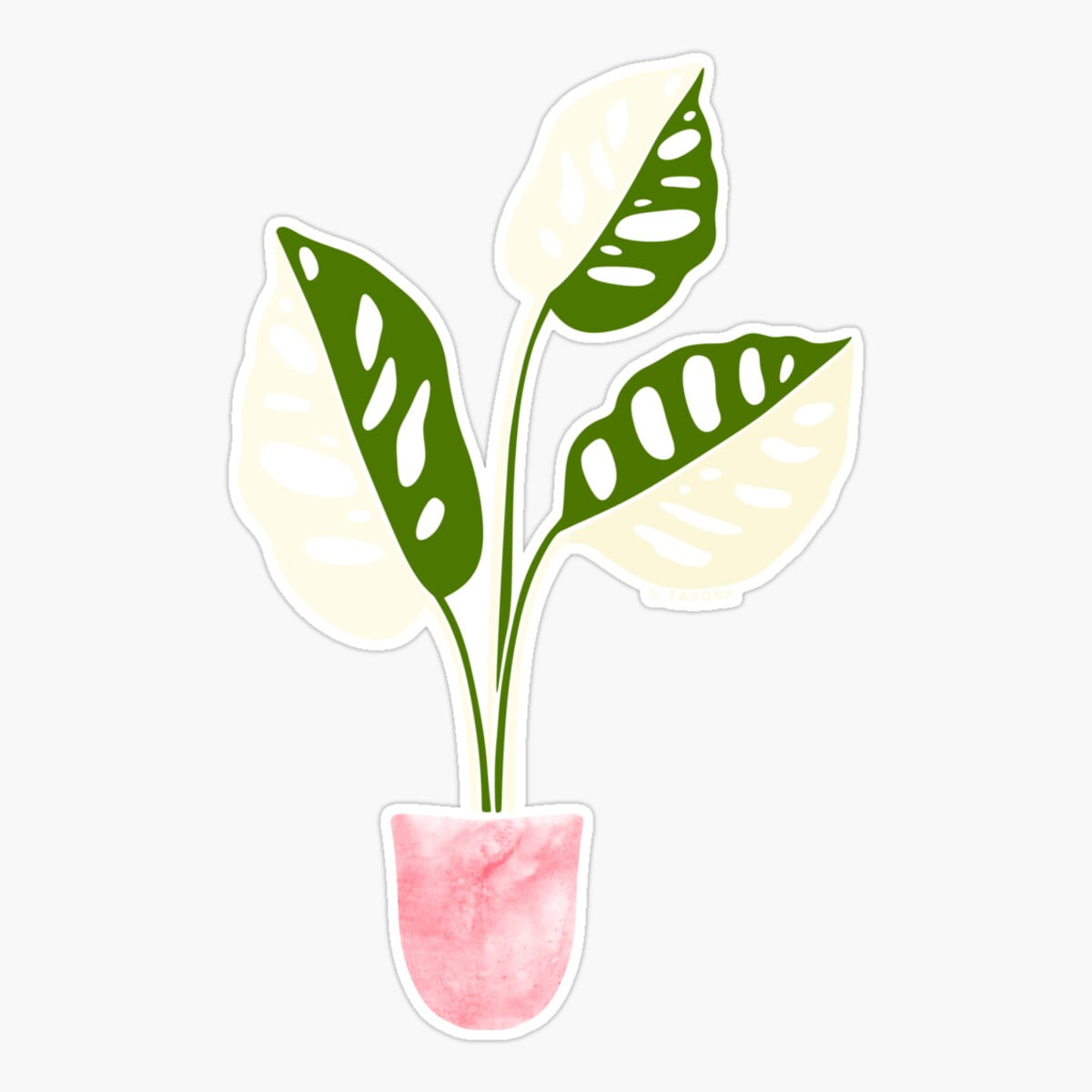 Onim Potted Variegated Monstera Adansonii Art Sticker, Phone Decal ...