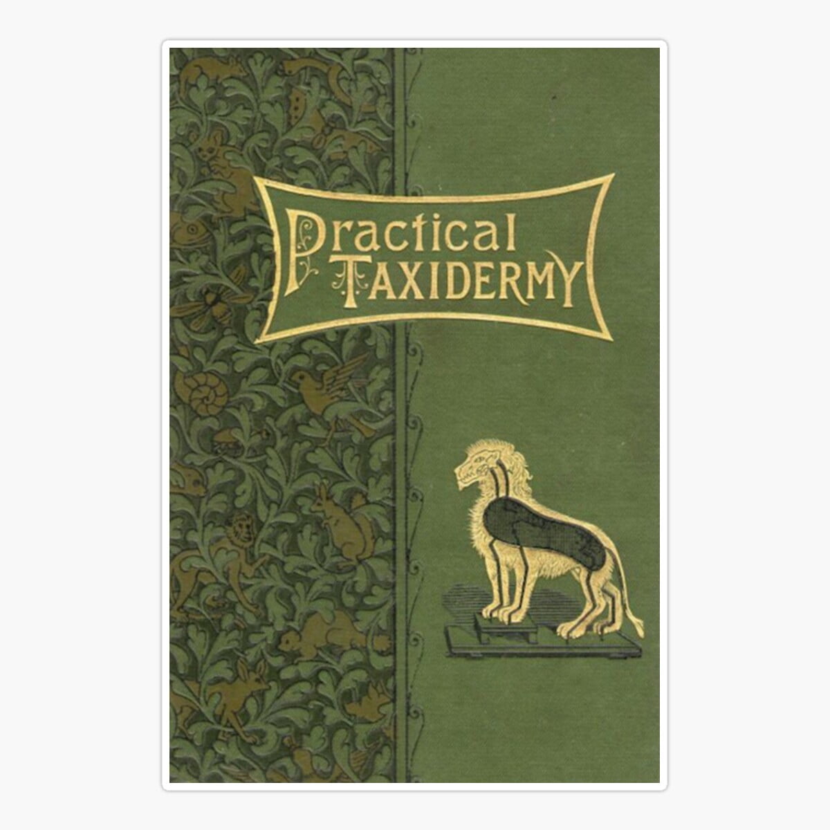 Onim Practical Taxidermy Sticker, Phone Decal Water Bottle Stickers Car ...