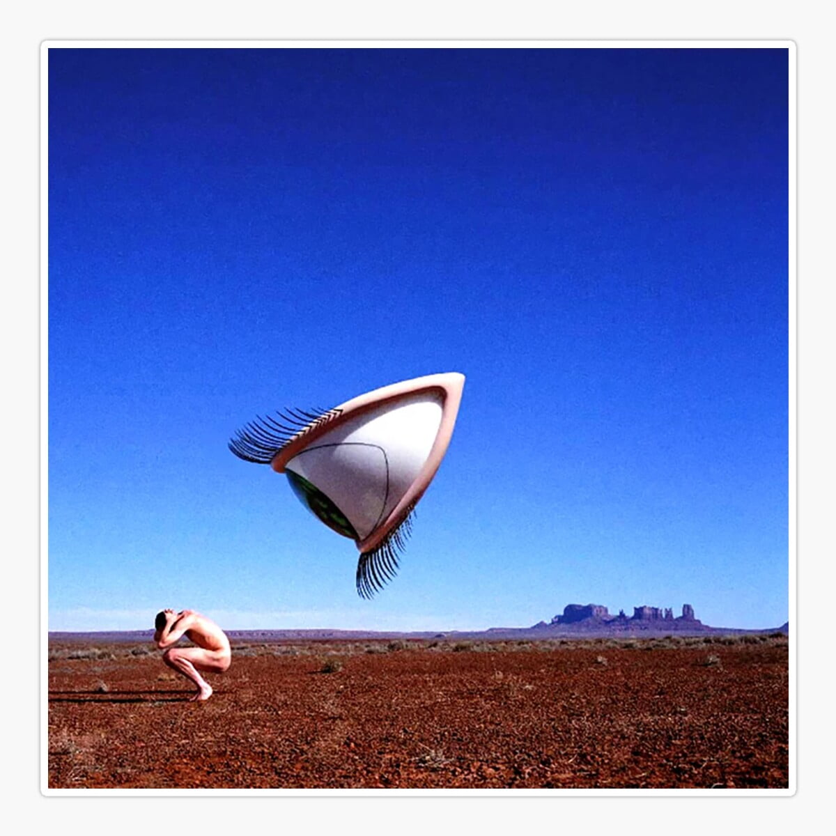 Onim Prank Sticker, Phone Decal Water Bottle Stickers Car Decals, Funny ...