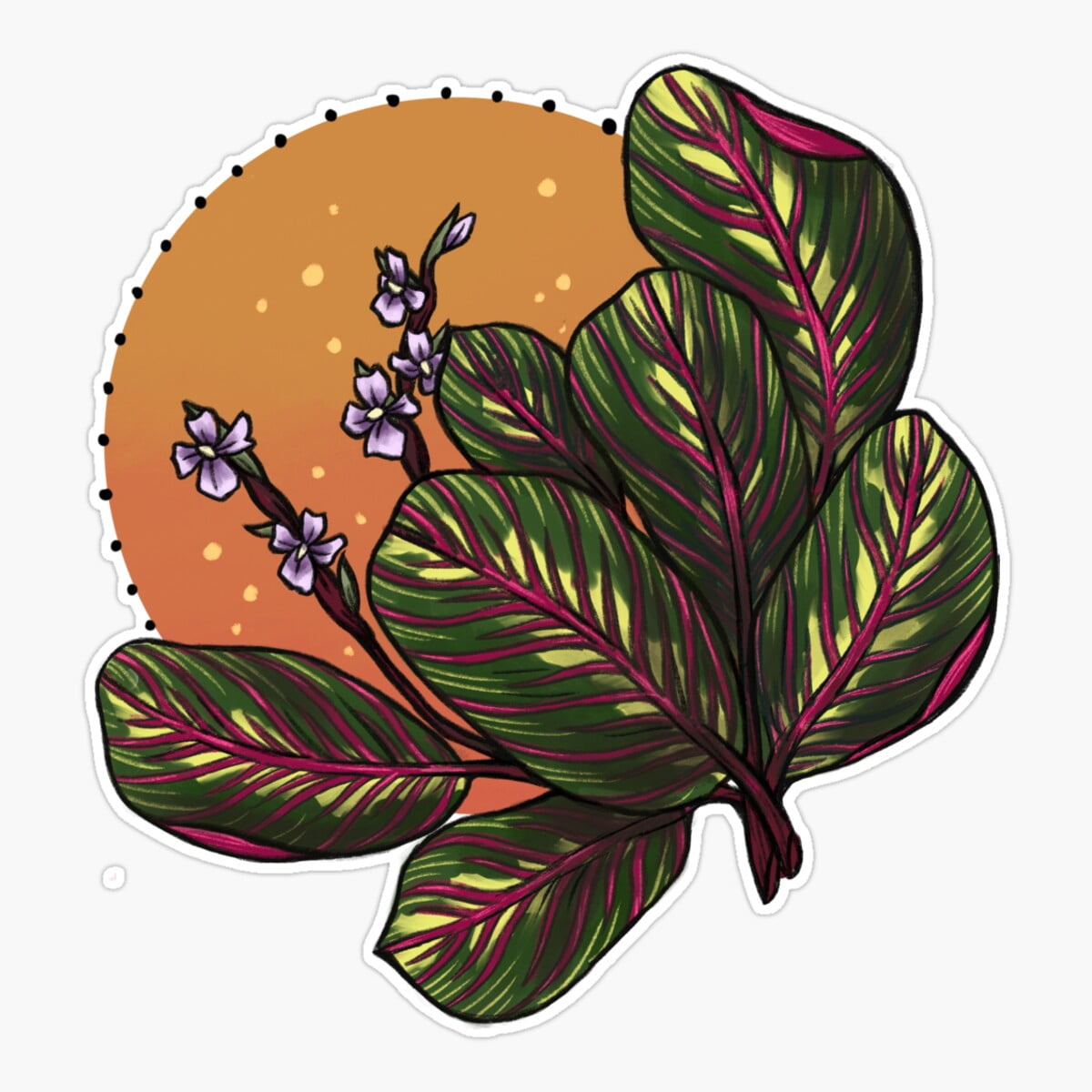 Onim Prayer Plant Sticker, Phone Decal Water Bottle Stickers Car Decals ...