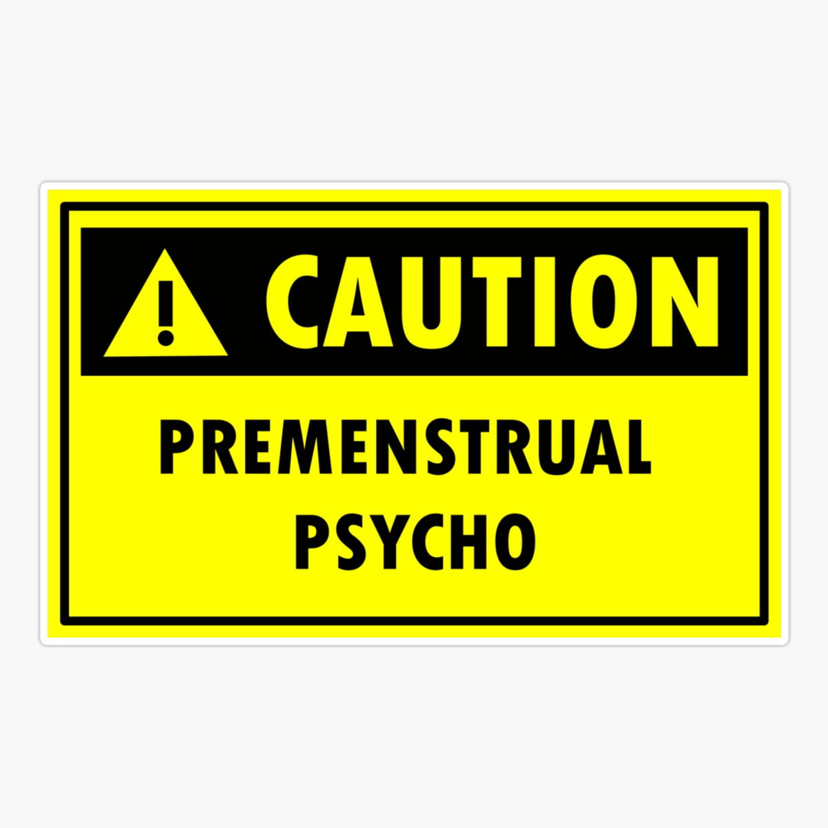 Onim Premenstrual Psycho Sticker, Phone Decal Water Bottle Stickers Car ...