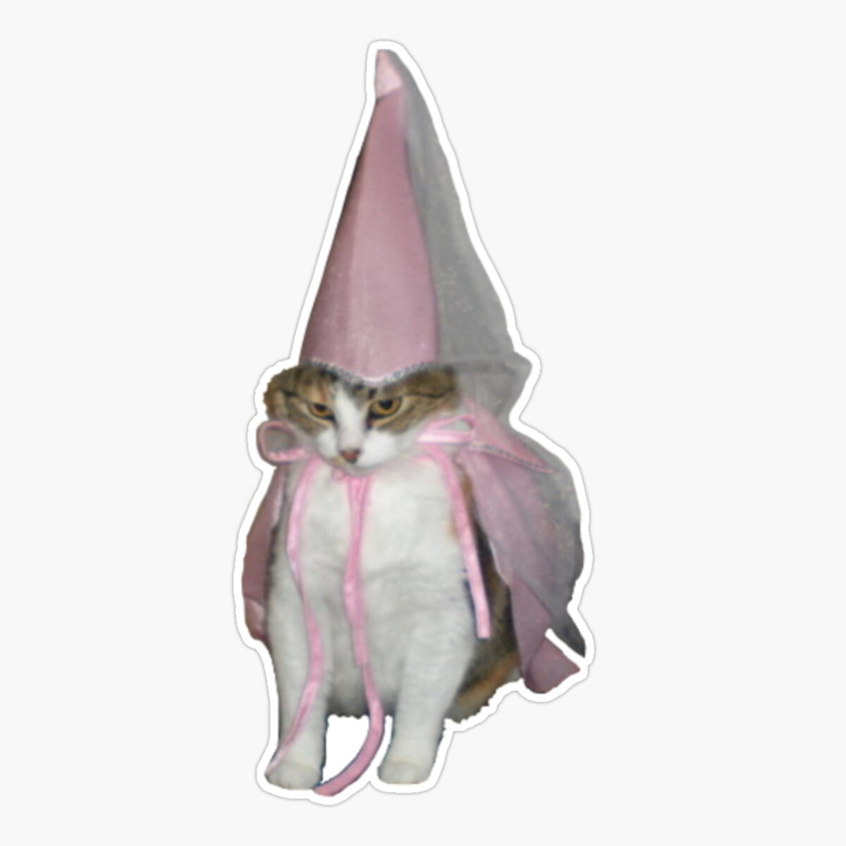 Onim Princess Dunce Cat Sticker, Phone Decal Water Bottle Stickers Car ...