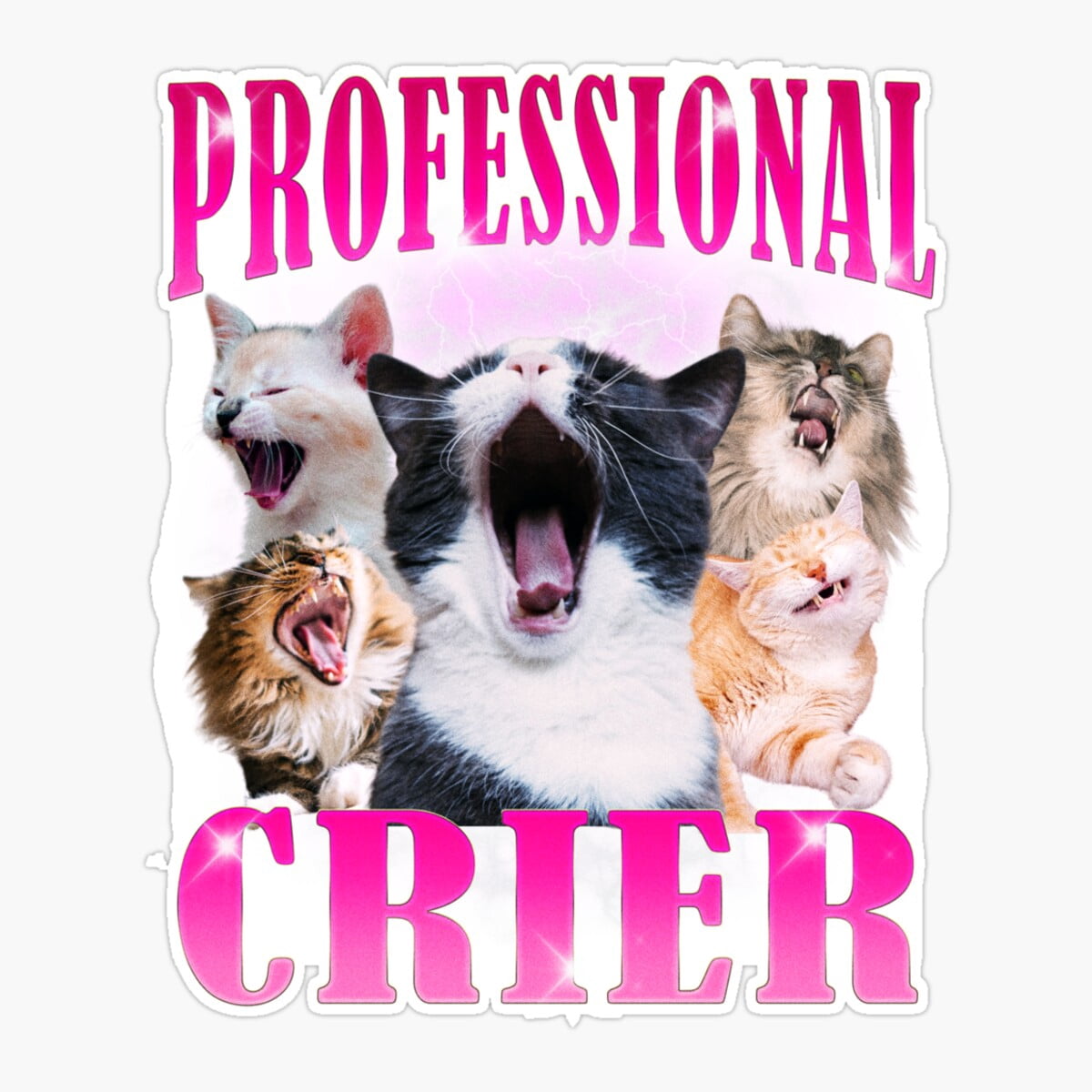 Onim Professional Crier Funny Criying Cat Meme Sticker, Phone Decal ...