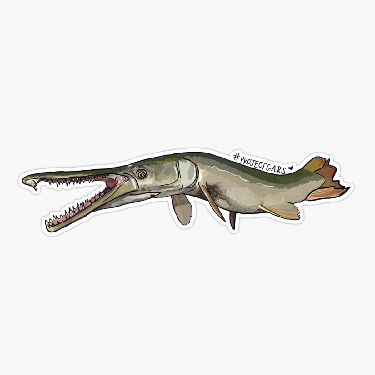 Onim Project G.A.R.S. Alligator Gar Sticker, Phone Decal Water Bottle ...