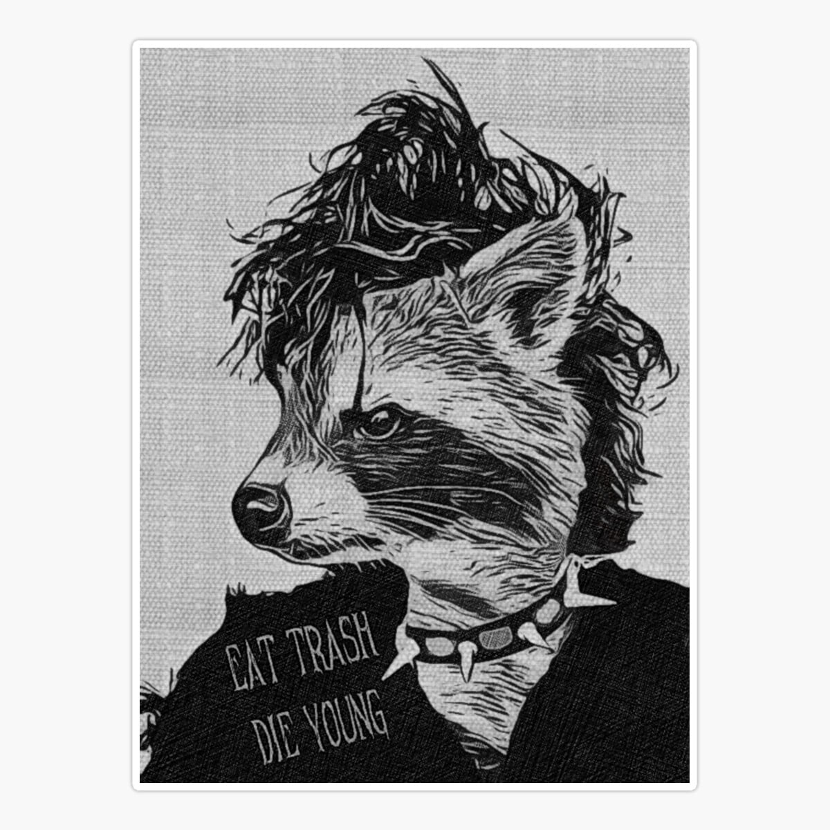 Onim Punk Rock Raccoon Sticker, Phone Decal Water Bottle Stickers Car ...