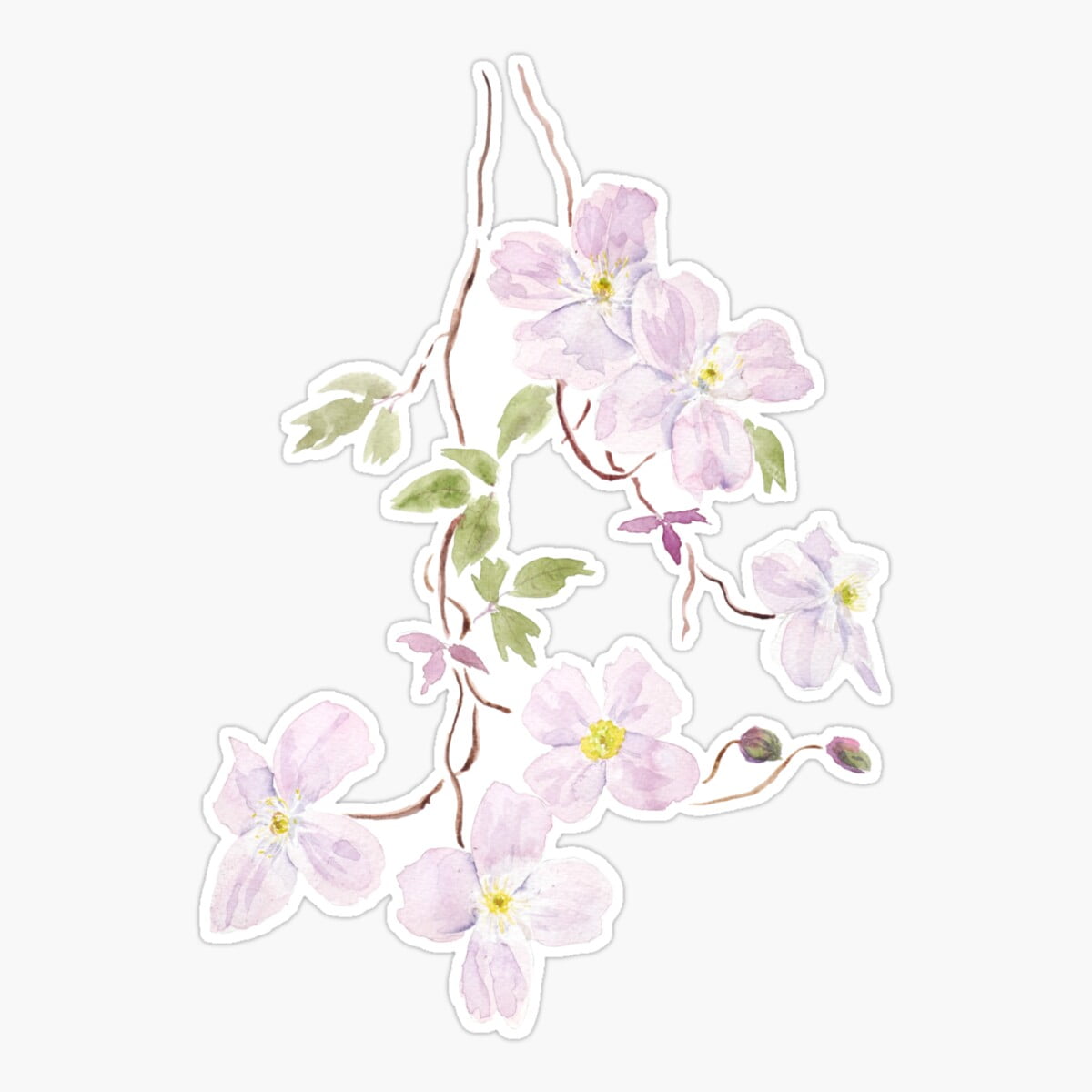 Onim Purple Clematis Watercolor Hand Painted Sticker, Phone Decal Water ...