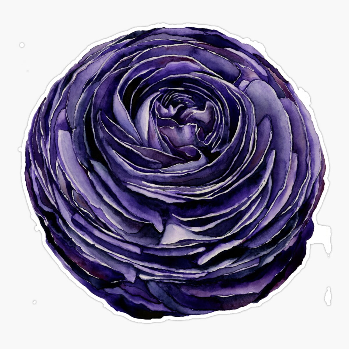 Onim Purple Ranunculus Sticker, Phone Decal Water Bottle Stickers Car ...
