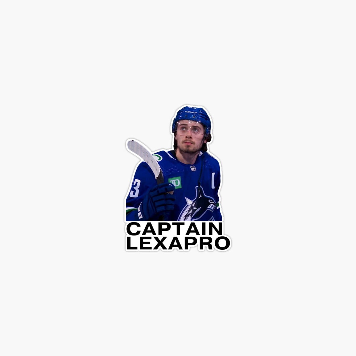 Onim Quinn Hughes: Captain Lexapro Sticker, Phone Decal Water Bottle ...