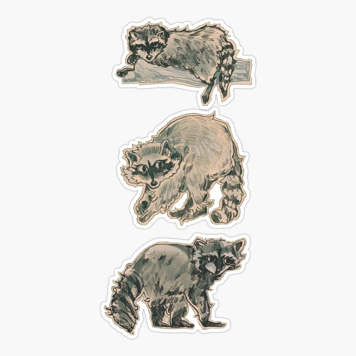 Onim Raccoon Sticker Pack Sticker, Phone Decal Water Bottle Stickers ...