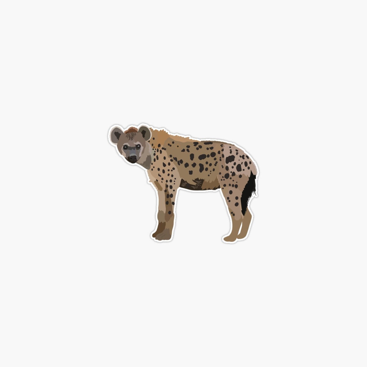 Onim S Is For Spotted Hyena Sticker, Phone Decal Water Bottle Stickers ...