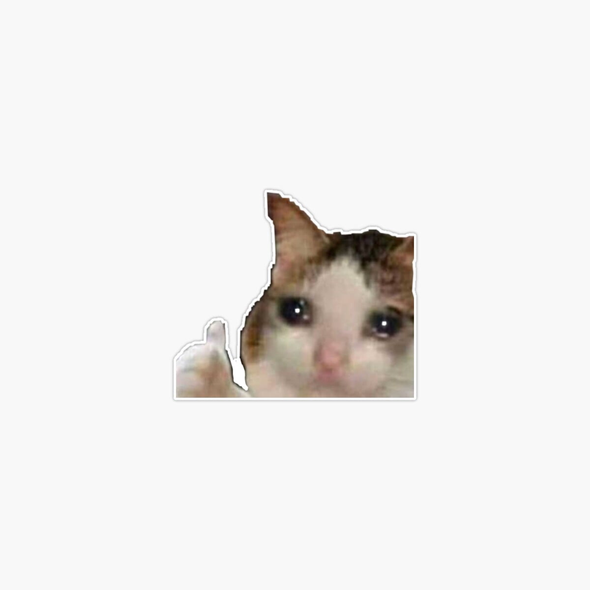 Onim Sad Cat Meme Sticker Sticker, Phone Decal Water Bottle Stickers ...