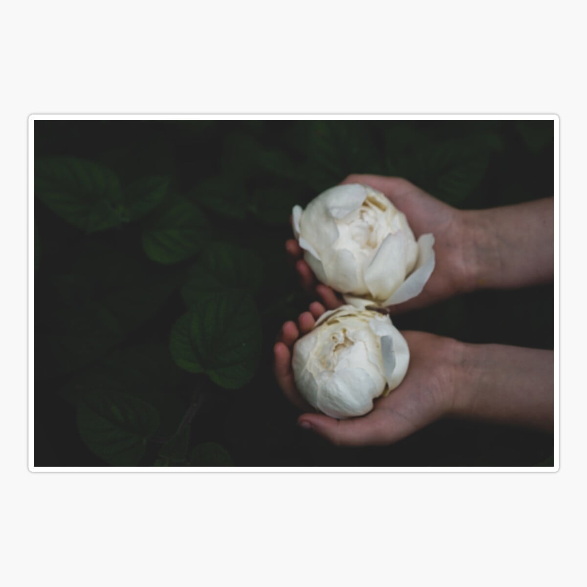 Onim Sans And Papyrus Sleepy - Undertale Sticker, Phone Decal Water ...