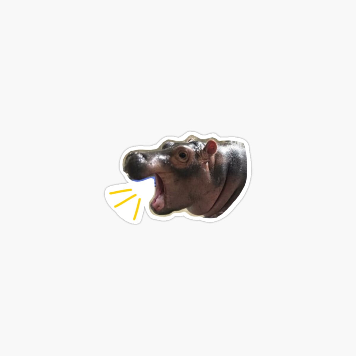 Onim Sassy Fiona The Hippo Sticker, Phone Decal Water Bottle Stickers ...