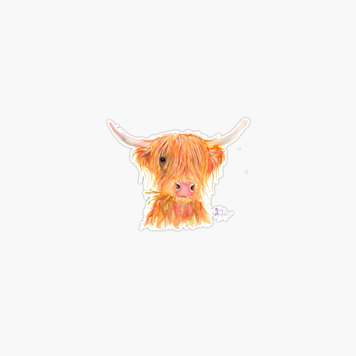 Onim Scottish Highland Cow 'Fergus' By Shirley Macarthur Sticker, Phone ...