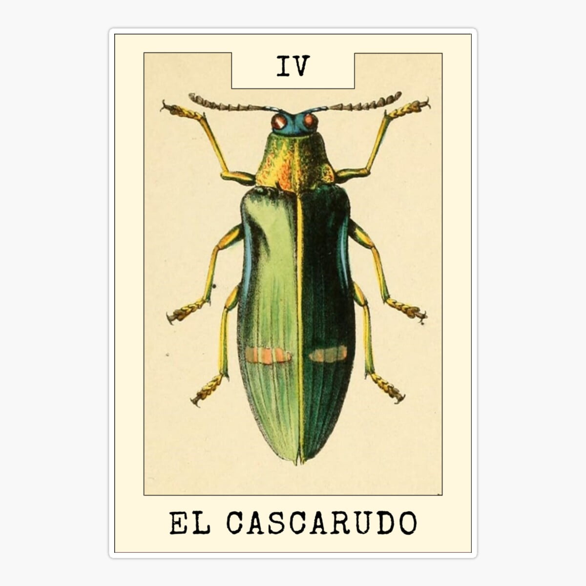 Onim Scottish Terrier Wearing Kilt Sticker, Phone Decal Water Bottle ...