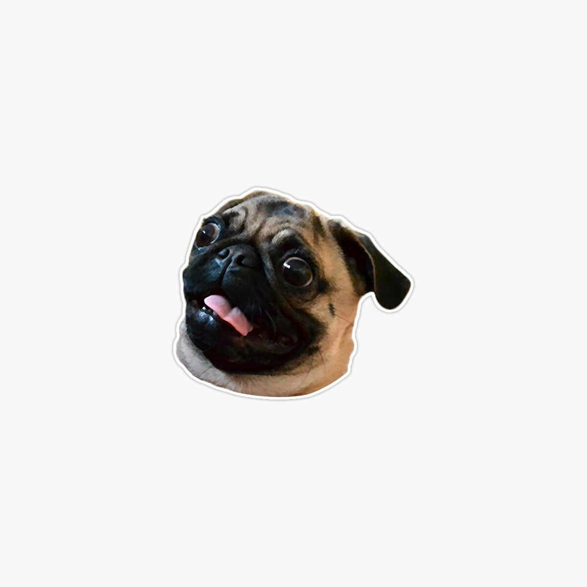 Onim Shocked Pug Sticker - Walmart.com