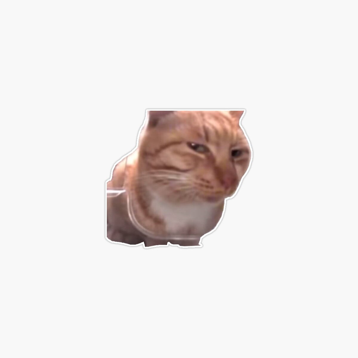 Onim Side Eye Cat Meme Sticker, Phone Decal Water Bottle Stickers Car ...