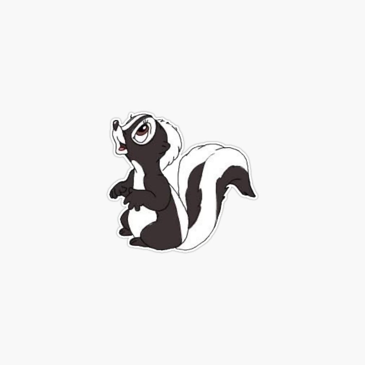 Onim Skunk Sticker, Phone Decal Water Bottle Stickers Car Decals, Funny ...