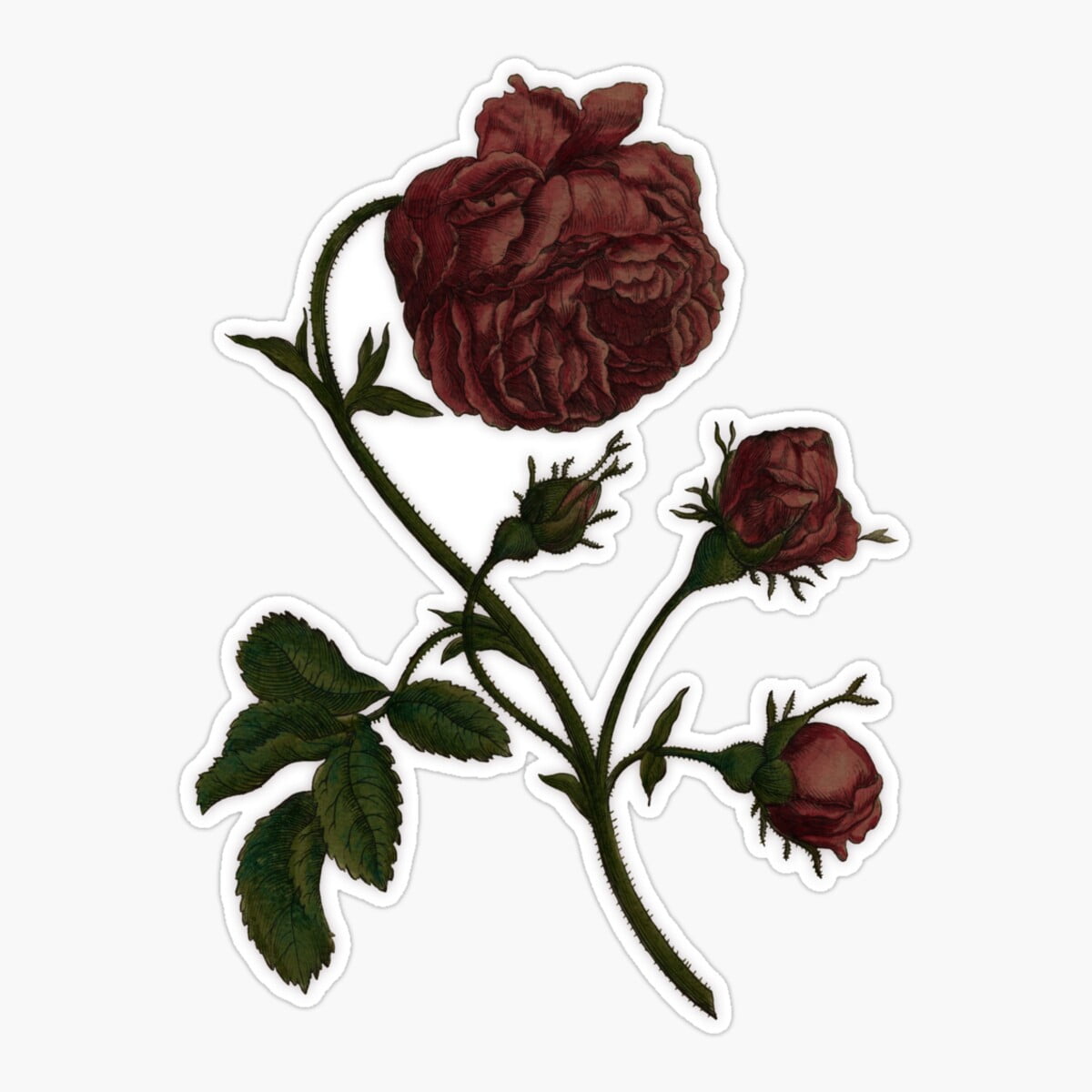 Onim Snoopy Ibis Sticker, Phone Decal Water Bottle Stickers Car Decals ...