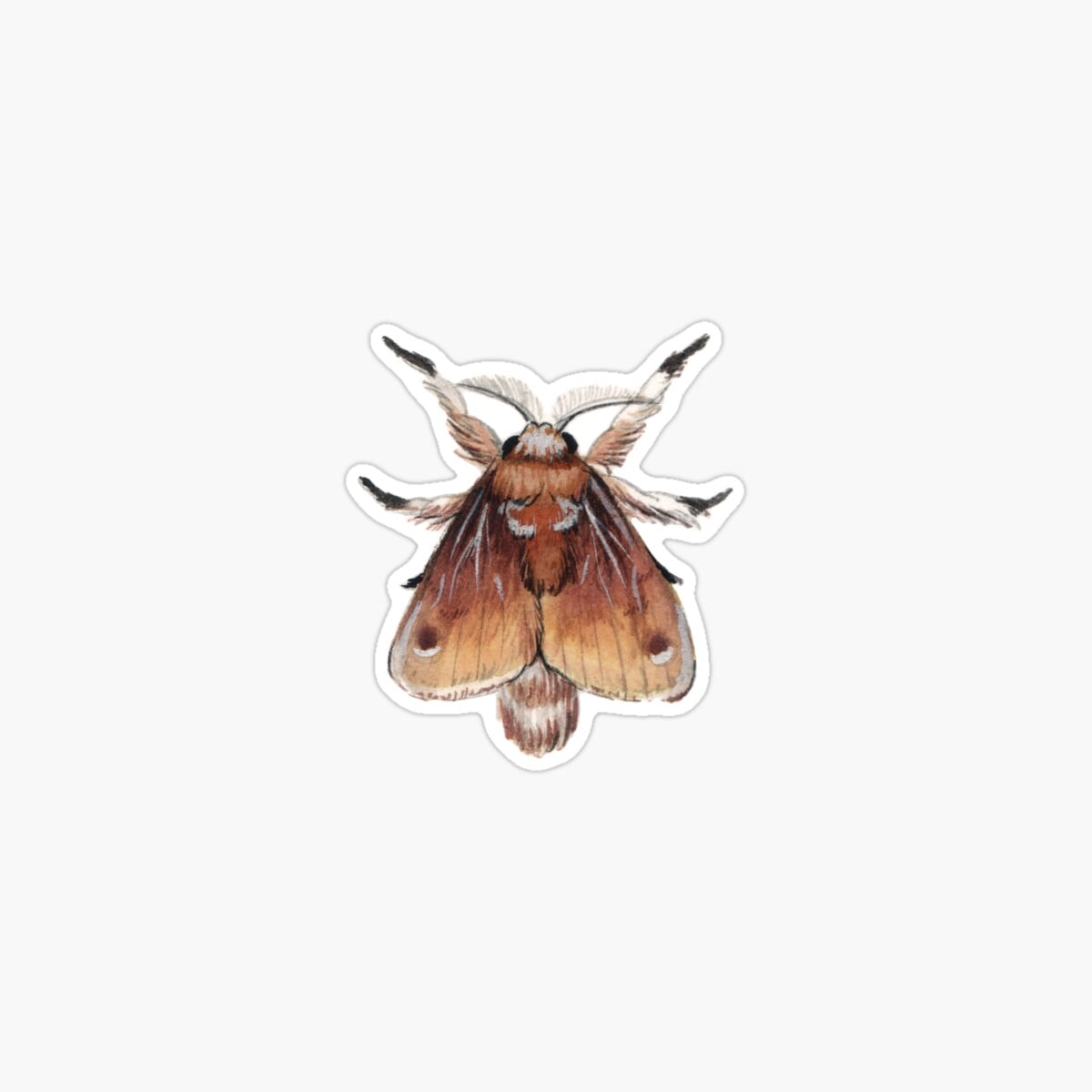 Onim Southern Flannel Moth (Megalopyge Opercularis) Sticker, Phone ...