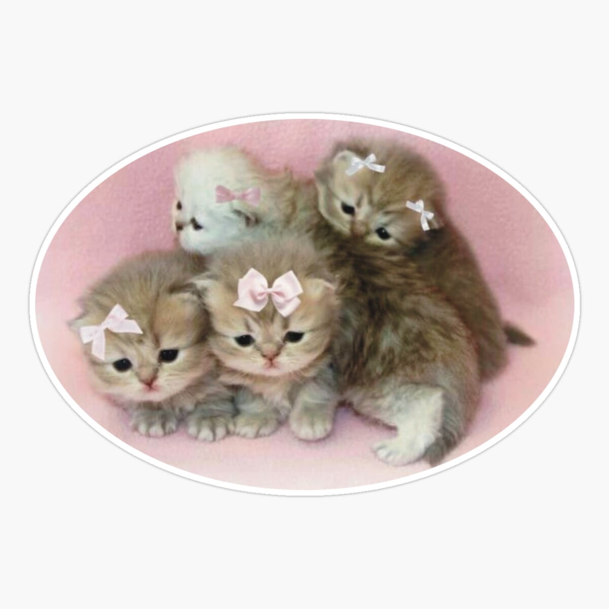 Onim Southern Flannel Moth (Megalopyge Opercularis) Sticker, Phone ...