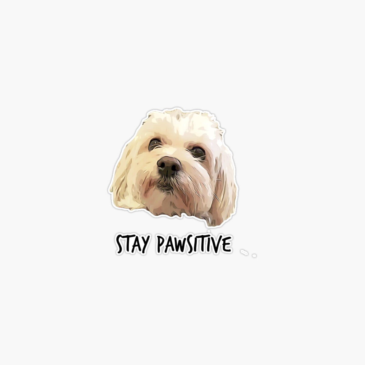 Onim Stay Pawsitive Sticker, Phone Decal Water Bottle Stickers Car ...