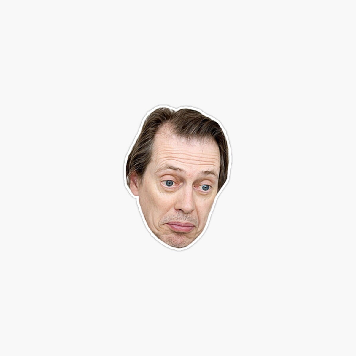 Onim Steve Buscemi Face Sticker, Phone Decal Water Bottle Stickers Car Decals, Funny Birthday ...