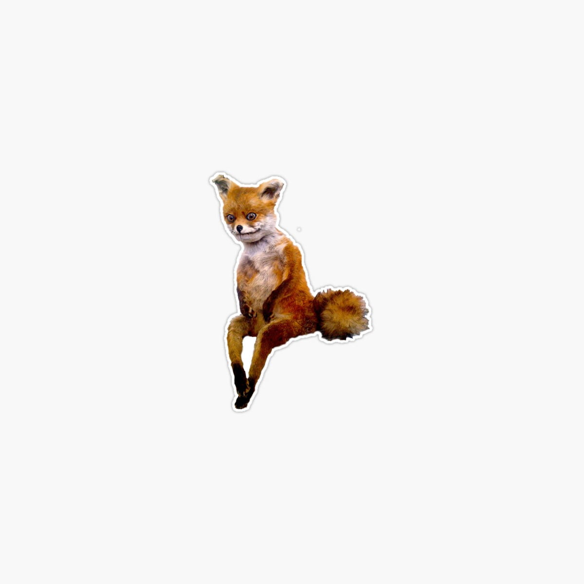 Onim Stoned fox the Taxidermy Fox Meme Sticker - Walmart.com