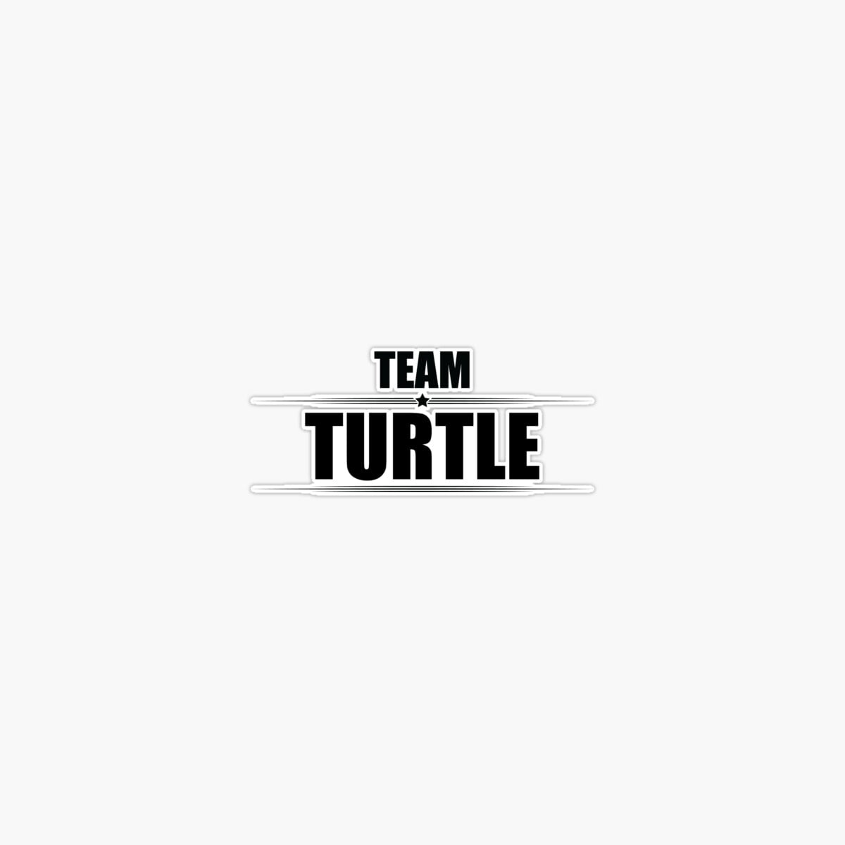 Onim Team Turtle Sticker, Phone Decal Water Bottle Stickers Car Decals ...
